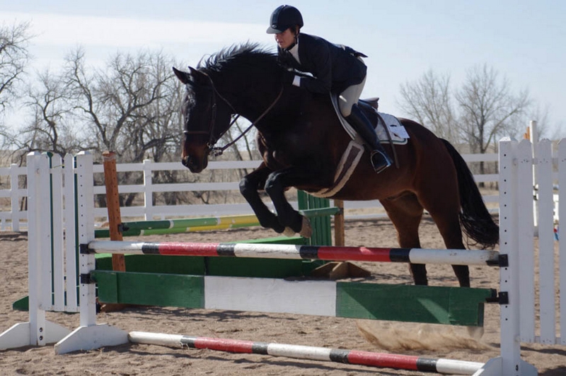 Aspen’s Wickes eyeing equestrian glory | AspenTimes.com